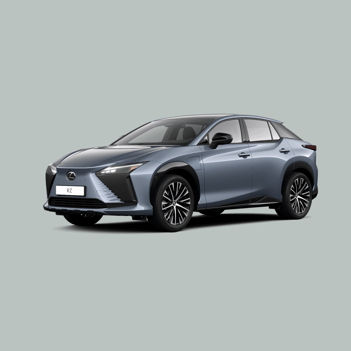 Charging solutions for Lexus RX | Accu-Machine.nl